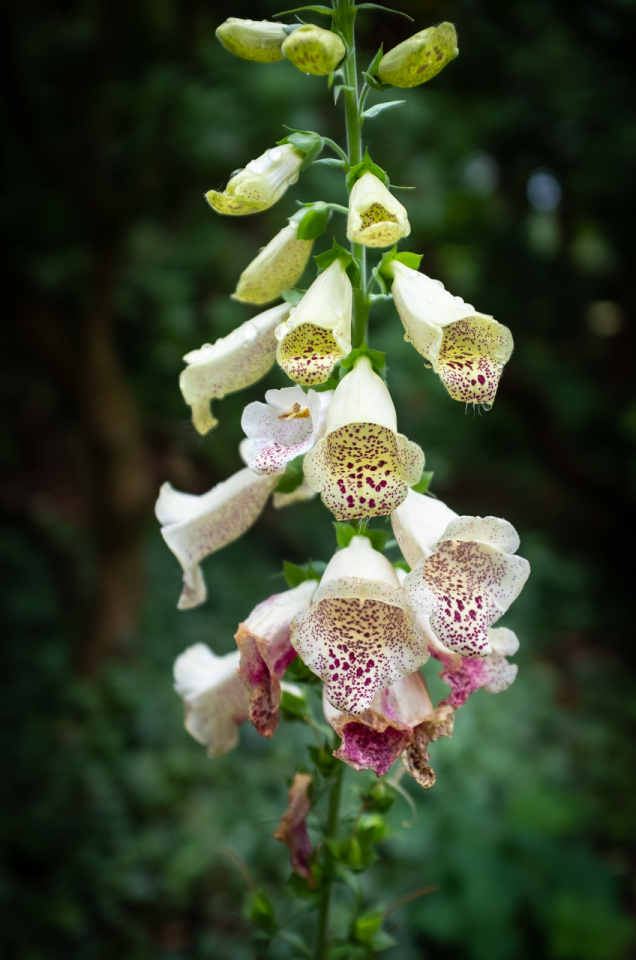 Gloom | SkyAboveMe1 | Blipfoto