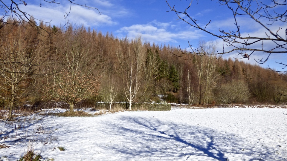 Snow shadow | seizetheday | Blipfoto