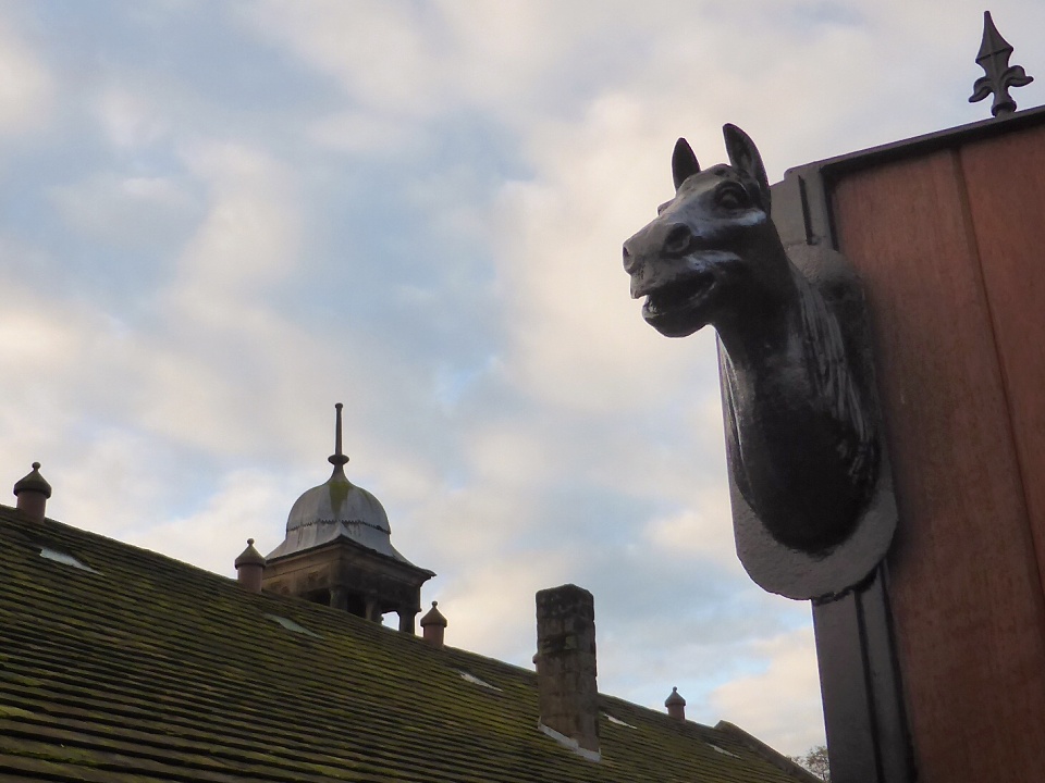 Stable Mews? | Jeanneb53 | Blipfoto