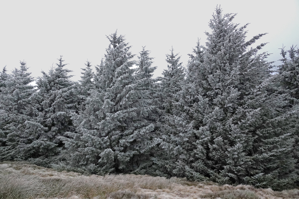 Cold... | Nicpic | Blipfoto