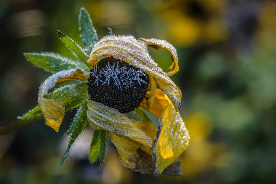 4,500 | dbifulco | Blipfoto