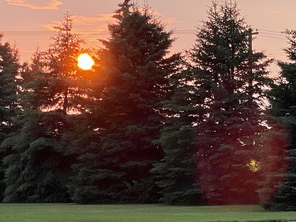Evergreen Sunset | RandallFriesen | Blipfoto
