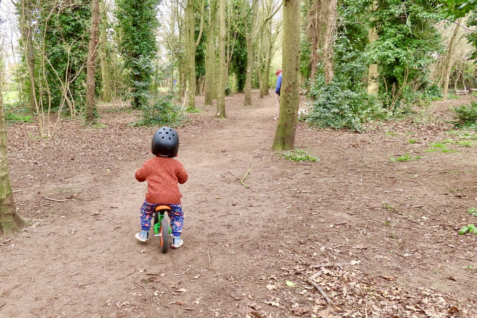 Busy. Day | Jaybay | Blipfoto