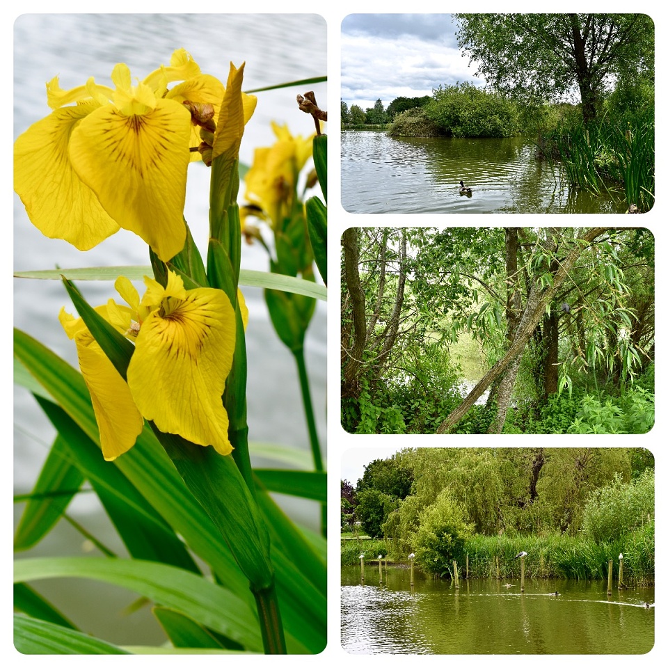 Green space | pixelpixie | Blipfoto