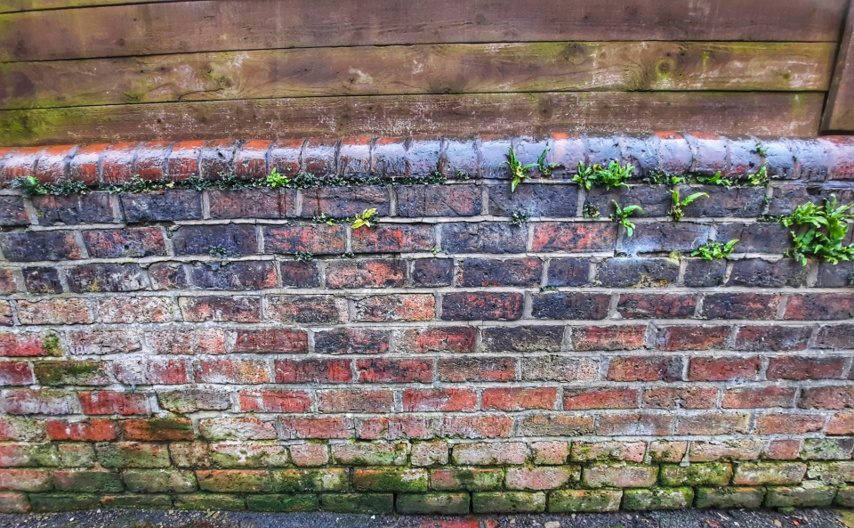 Wide Wednesday...Bricks | evolybab | Blipfoto