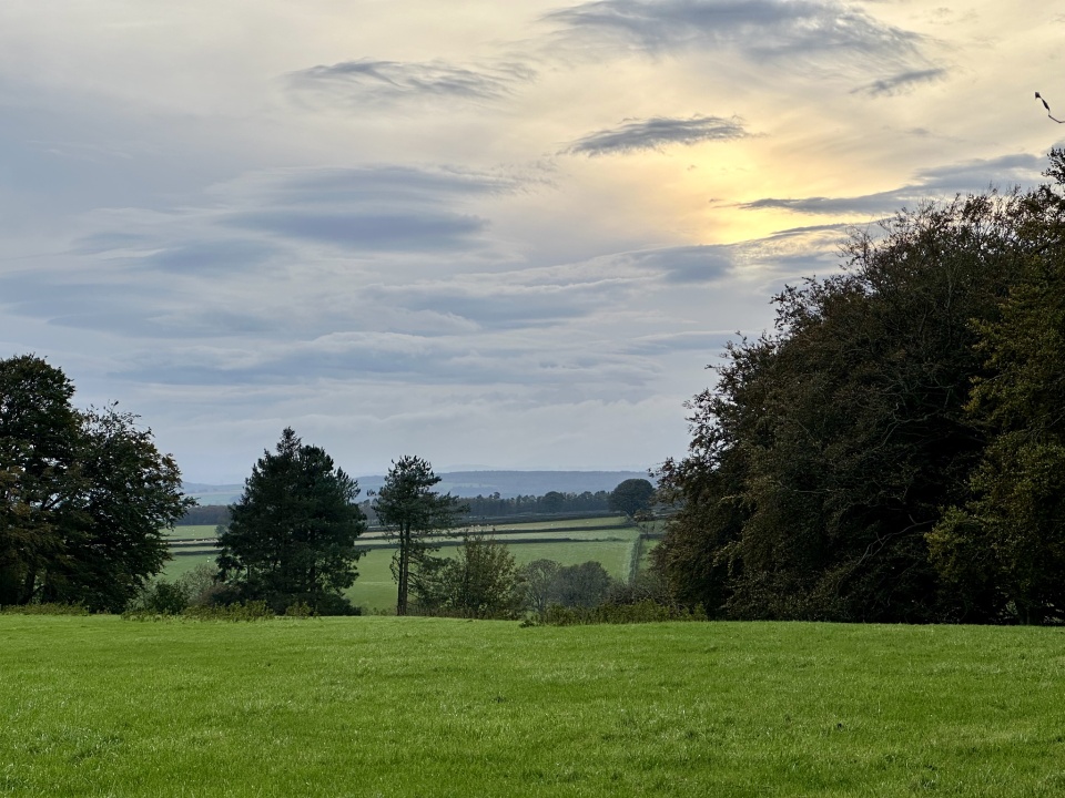 Early evening walk | KCNQ2Haiku | Blipfoto