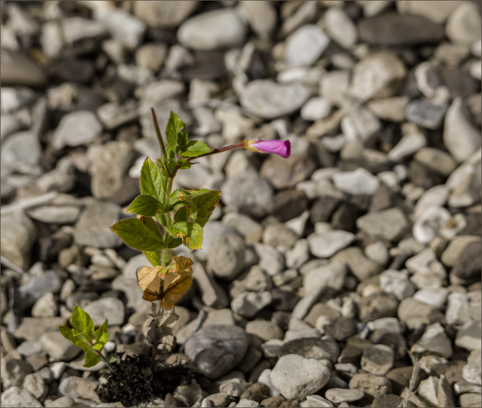 I don’t really know . . . | JohnW | Blipfoto