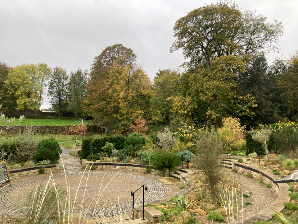Autumn at YorkGate | mambo | Blipfoto