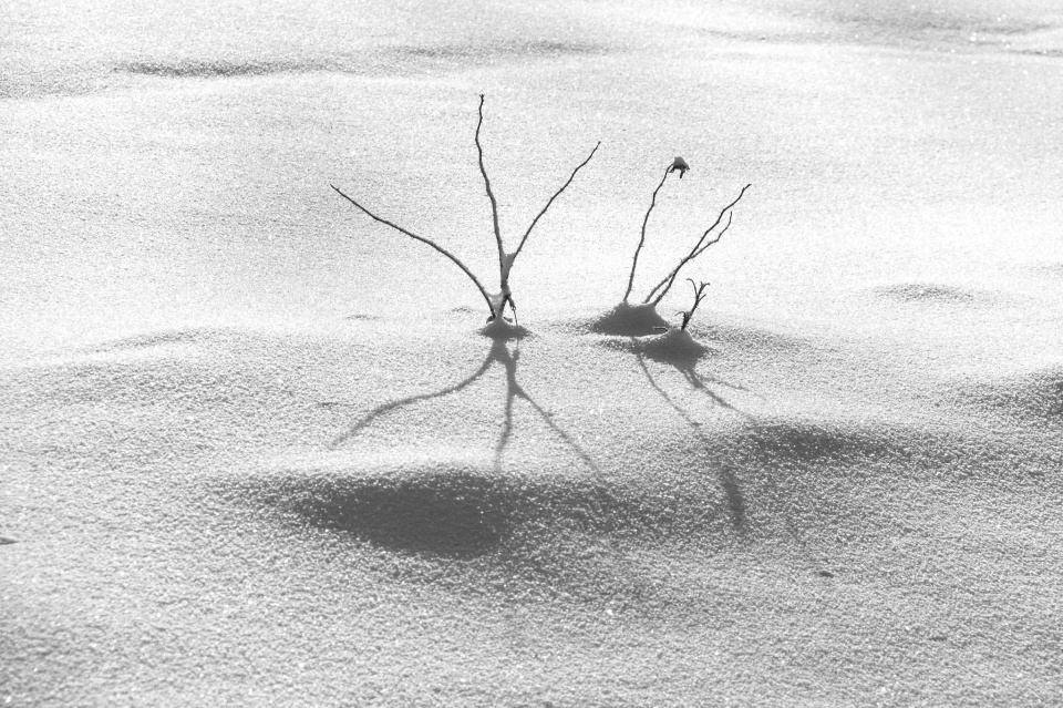 Shimmering Snow | ejniemi | Blipfoto