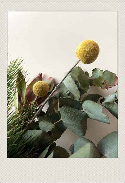 Flower Friday | 59 | Blipfoto