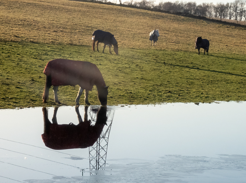 Reflections | DarkEyedMary | Blipfoto