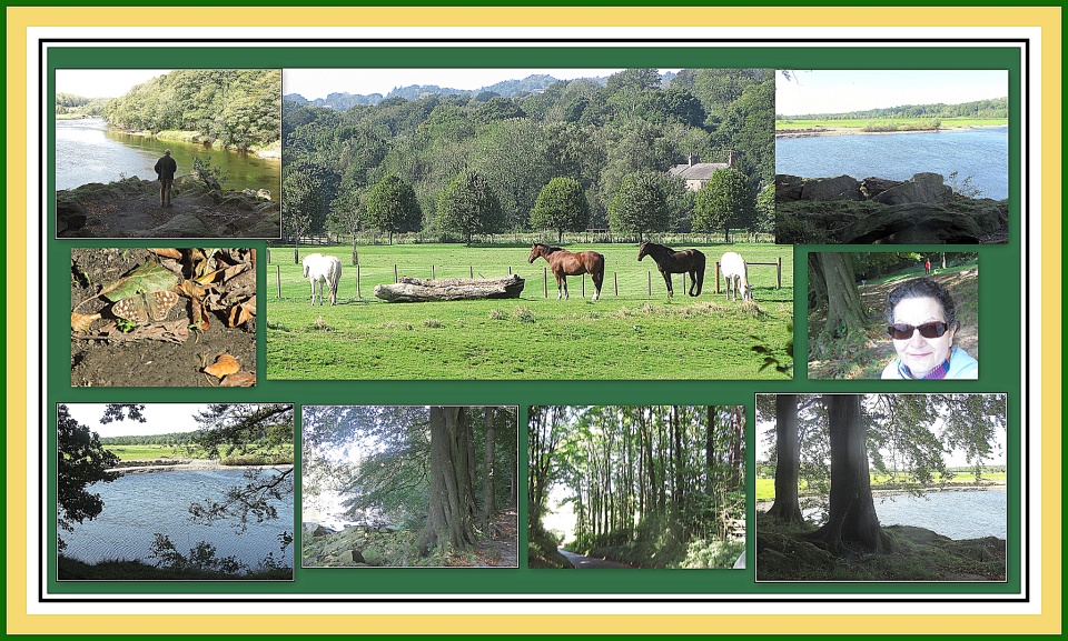 Marles Wood near Ribchester. | Grace55 | Blipfoto