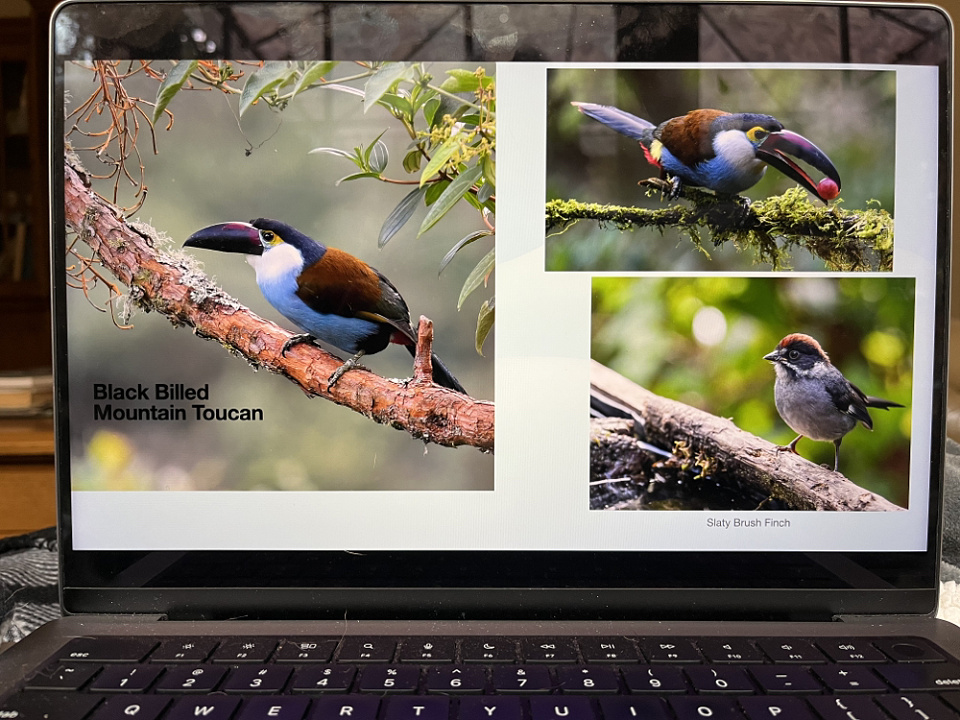 Working… | dbifulco | Blipfoto