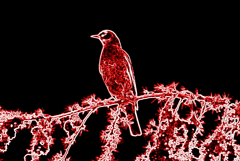 Abstract Robin | johnsmiley1321 | Blipfoto