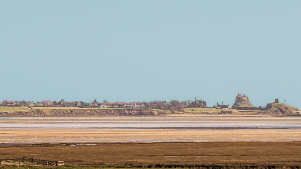 Homewards | Tweedy | Blipfoto