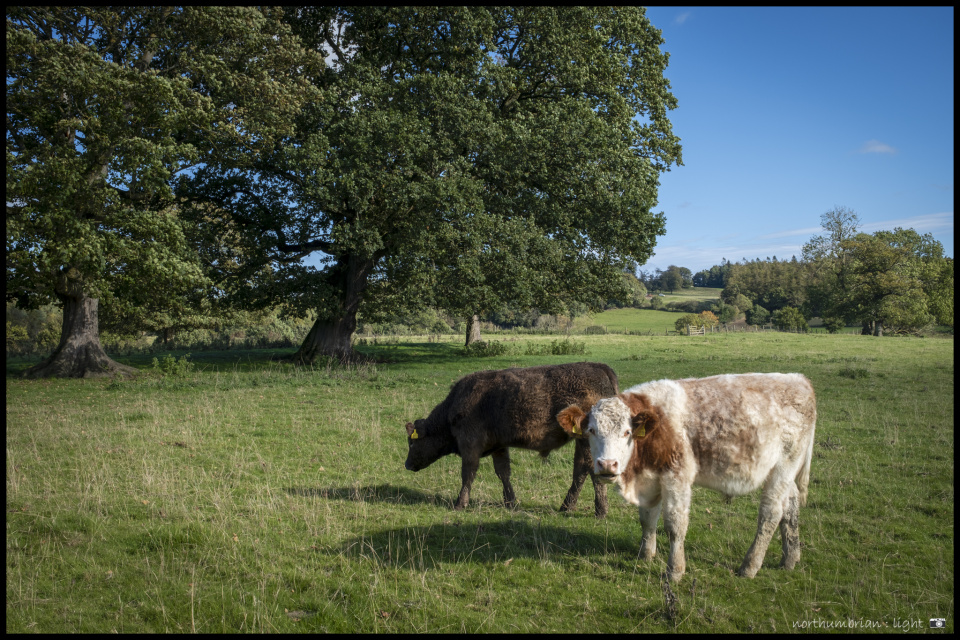 A day ... | RobinDown | Blipfoto