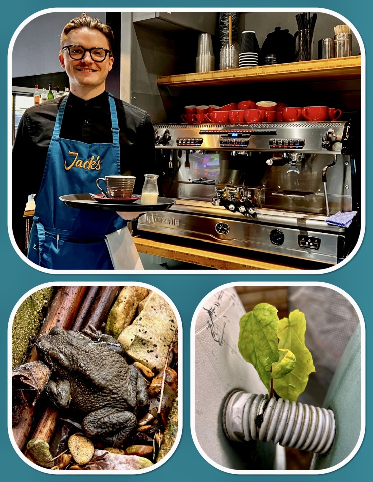 DEFINITELY NOT TINY TUESDAY! | Honeycombebeach | Blipfoto