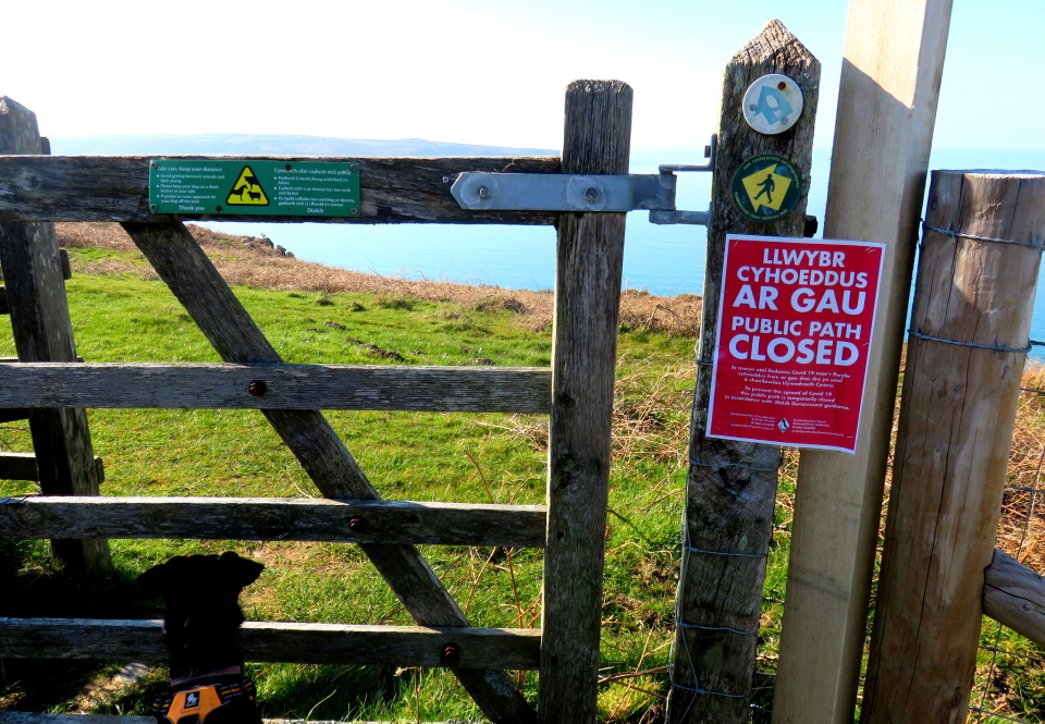 AR GAU | ceridwen | Blipfoto