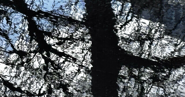 Reflections | Bella888 | Blipfoto