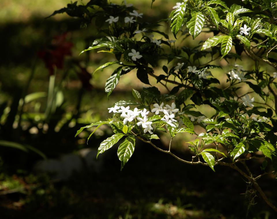 Getting Some Sun | bugsman | Blipfoto