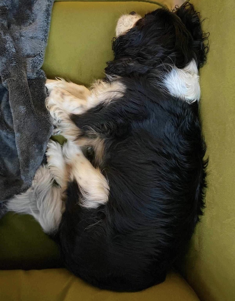 Rainy day | Emsie | Blipfoto