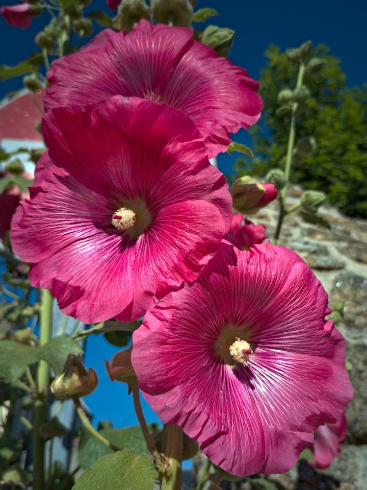 NO ENTRY | ajt | Blipfoto