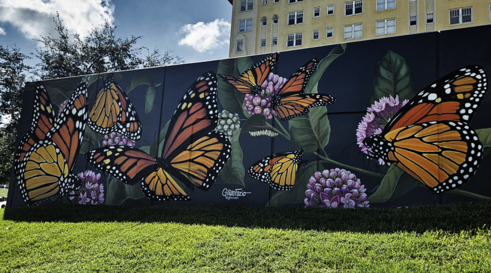 Wall Art | bugsman | Blipfoto