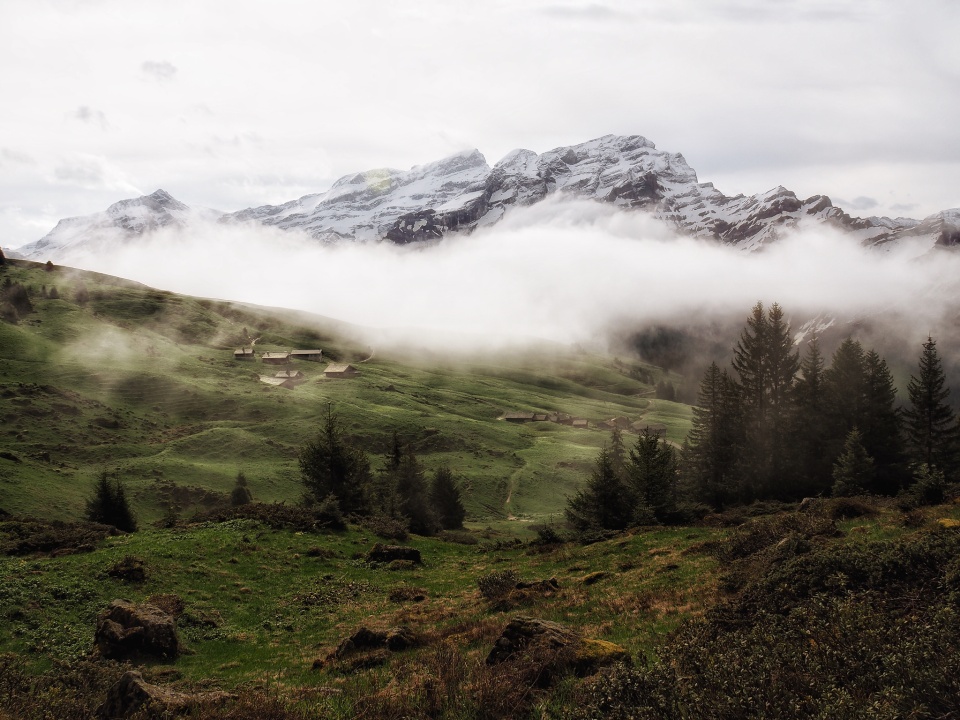 The Three Hour Window | HilarysView | Blipfoto