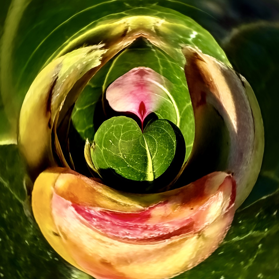 'The Face of Spring' | Chris_P | Blipfoto