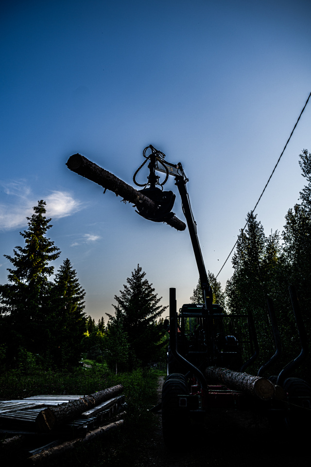 Lifting logs | akkuvv | Blipfoto