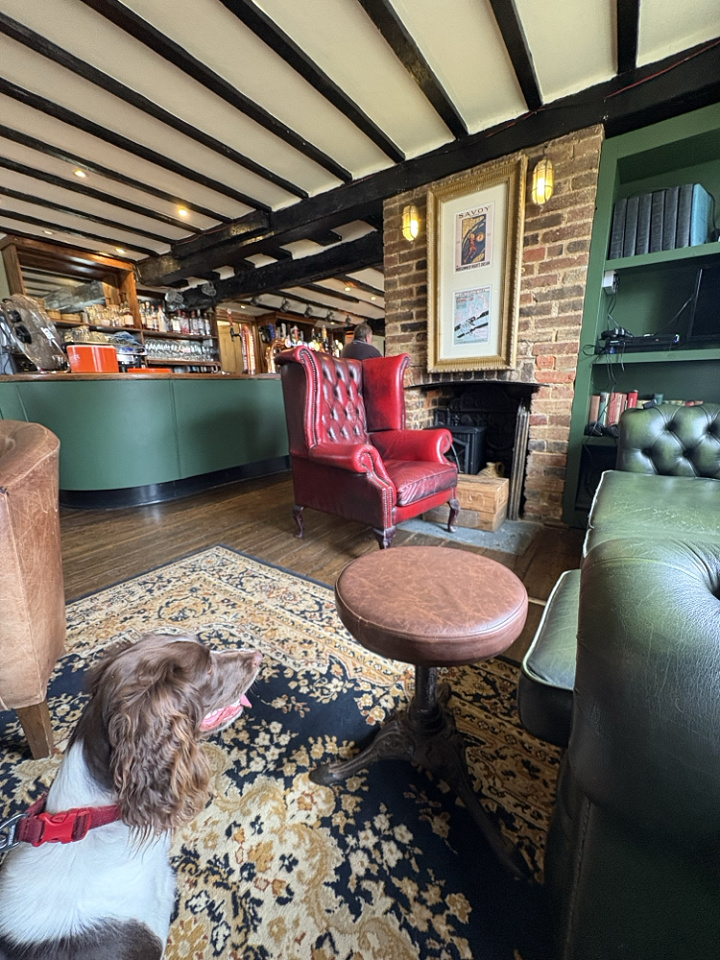 Pub pup training today | brfm | Blipfoto