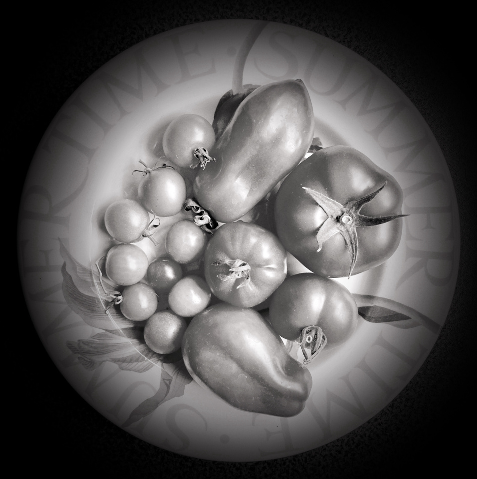 High Key | mambo | Blipfoto