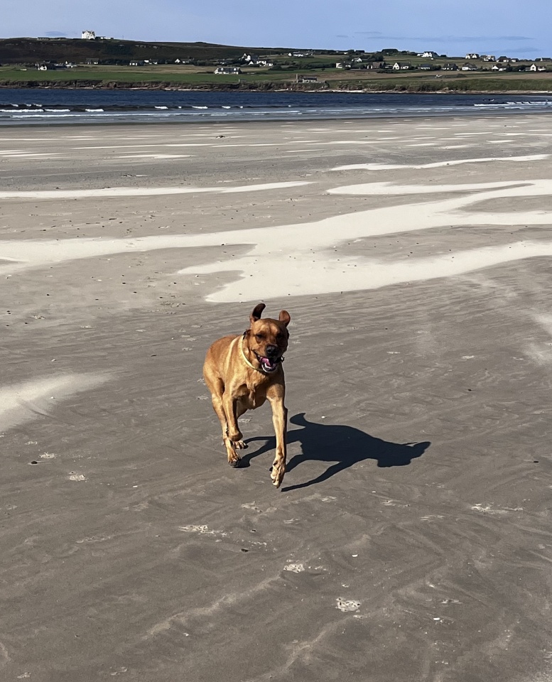 Happy boy | Pinkhairedlady | Blipfoto