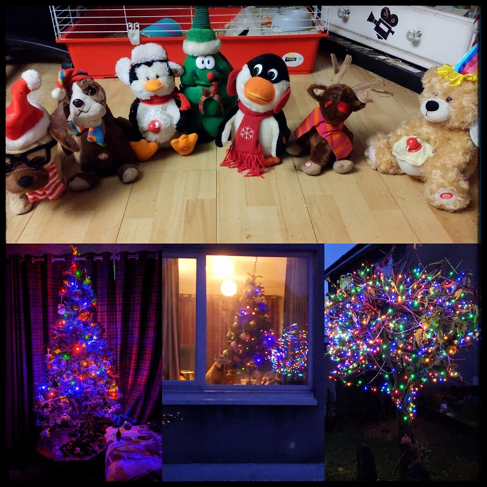 It's Christmas! | snapper | Blipfoto
