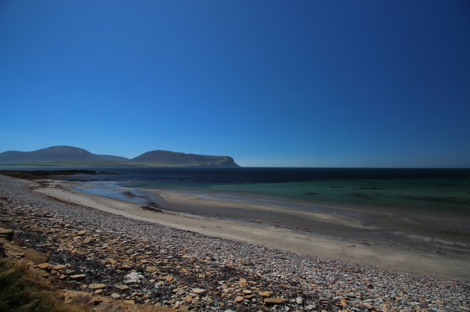 Warebeth (Day 1151) | PorridgeWog | Blipfoto