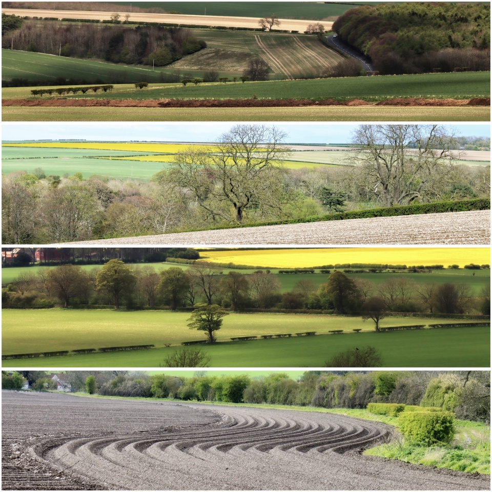 Patchwork landscapes | maureen6002 | Blipfoto