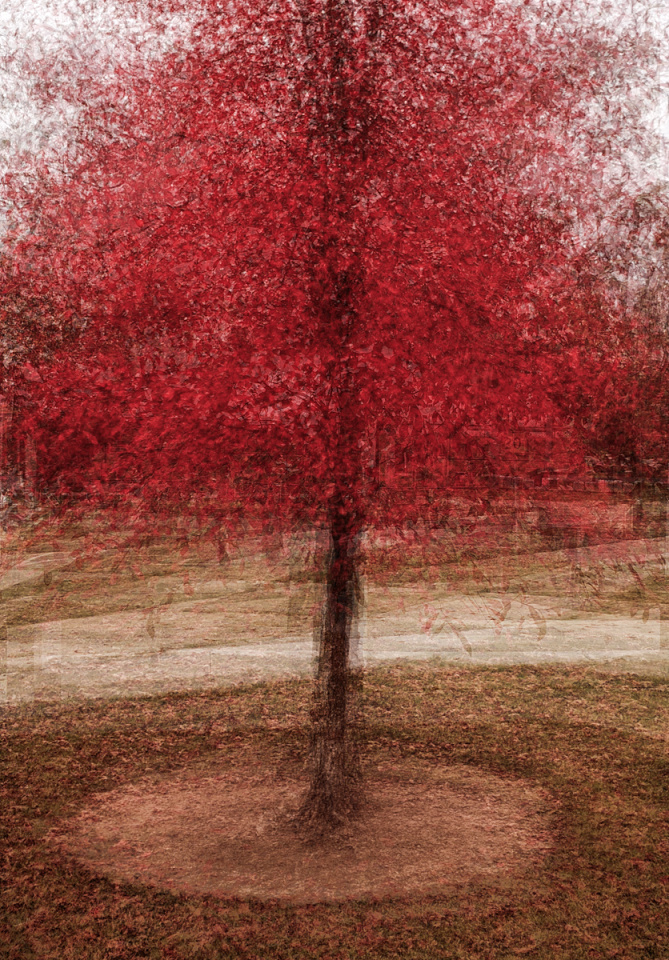 Impromptu PV | twigs | Blipfoto