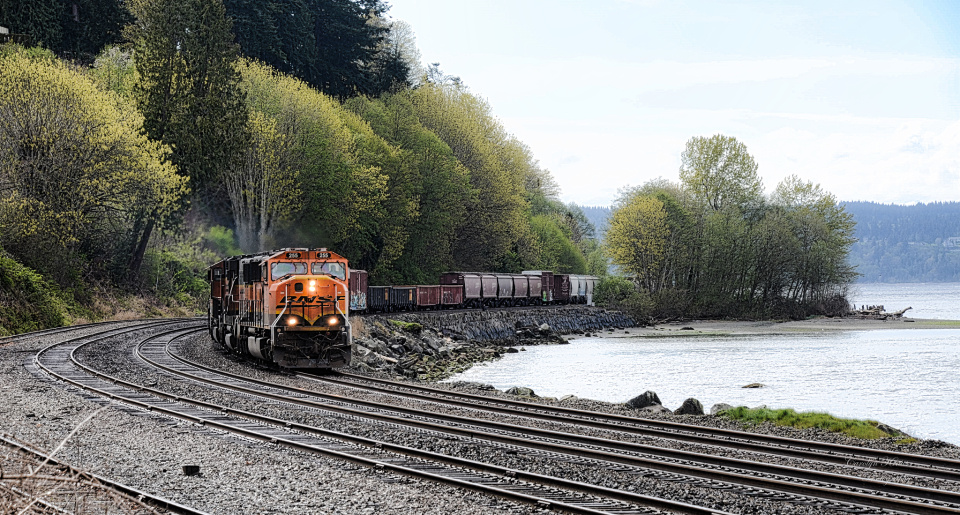 Crooked Cars | Carolina | Blipfoto