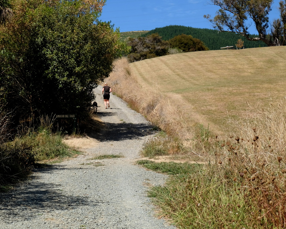Ready To Run . . . The Chicks | V1k1 | Blipfoto