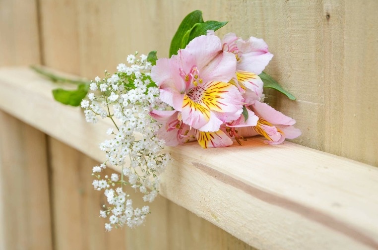 Testing | Alison666 | Blipfoto