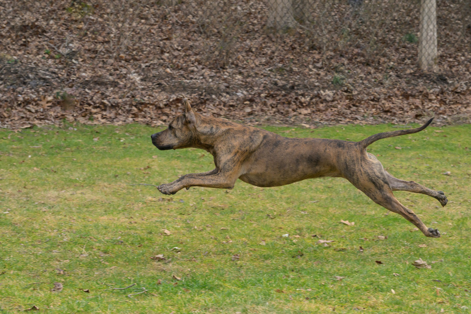 Airborn! | dbifulco | Blipfoto