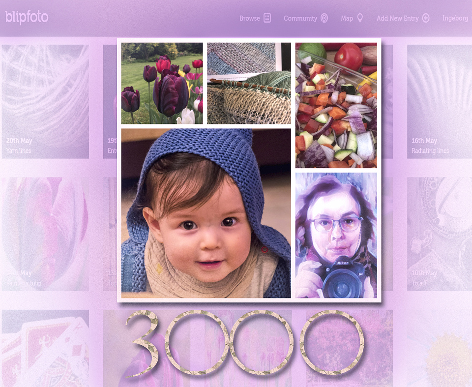 Purple Camera Day | Ingeborg | Blipfoto