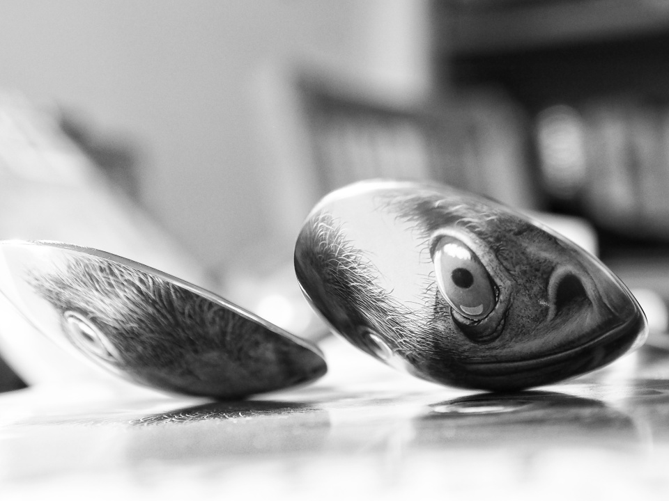 Two Spoons | DonnaWanna | Blipfoto