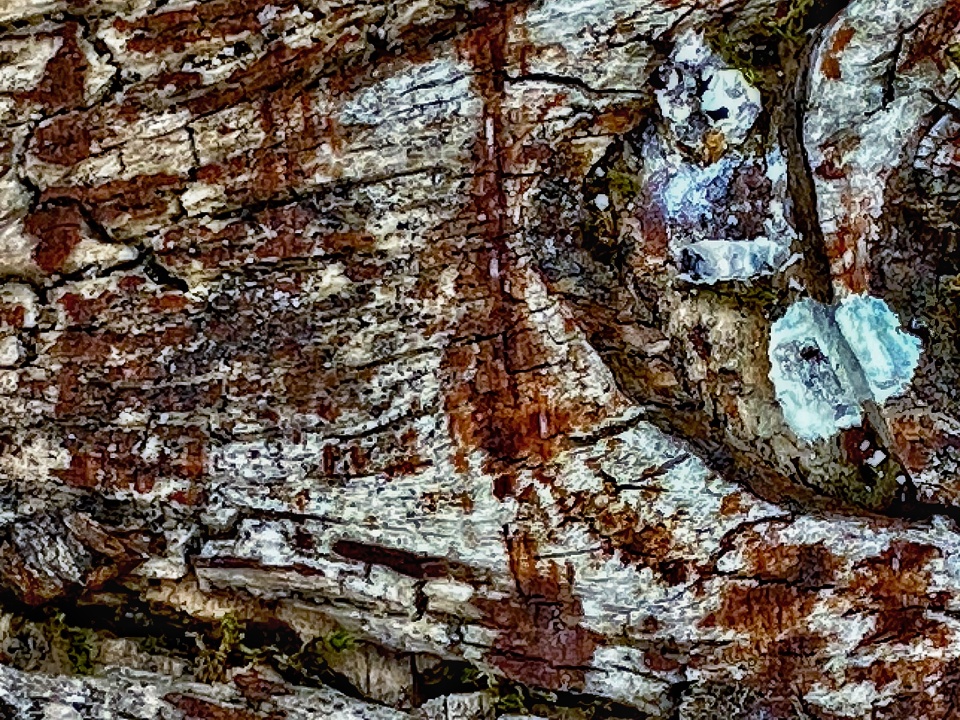 Texture | Ingeborg | Blipfoto