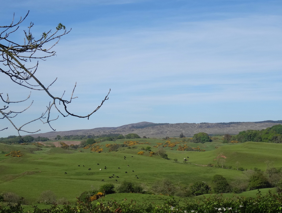 Screel Hill | sheilwill | Blipfoto