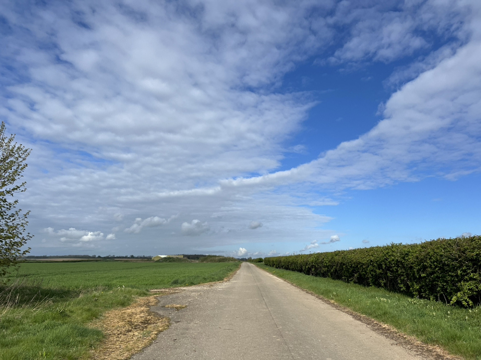 Run | Romay | Blipfoto