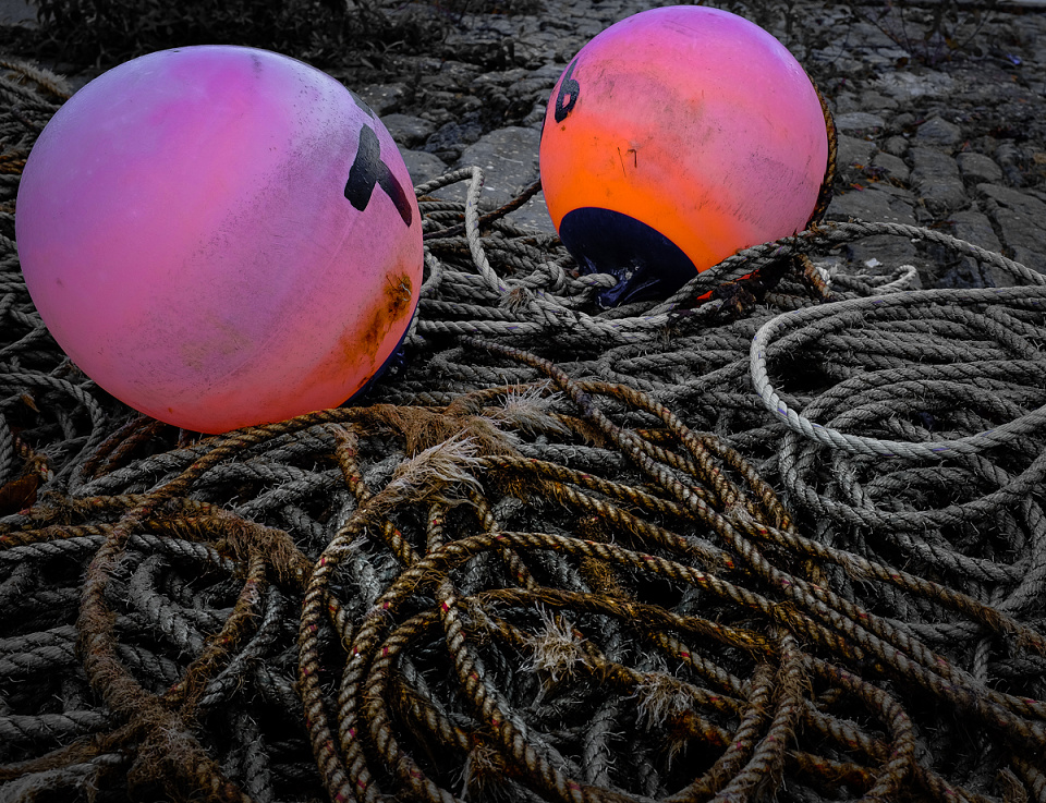 Balls! | snapper | Blipfoto