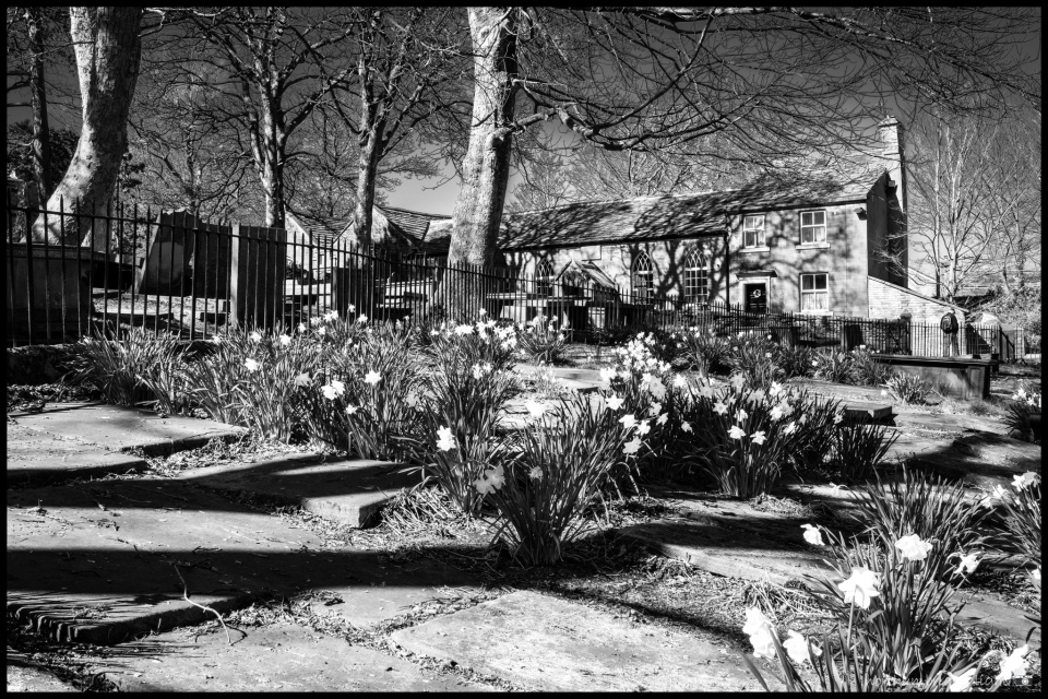 The churchyard ... | RobinDown | Blipfoto