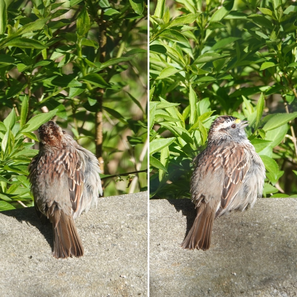 Hmm | Kimb | Blipfoto