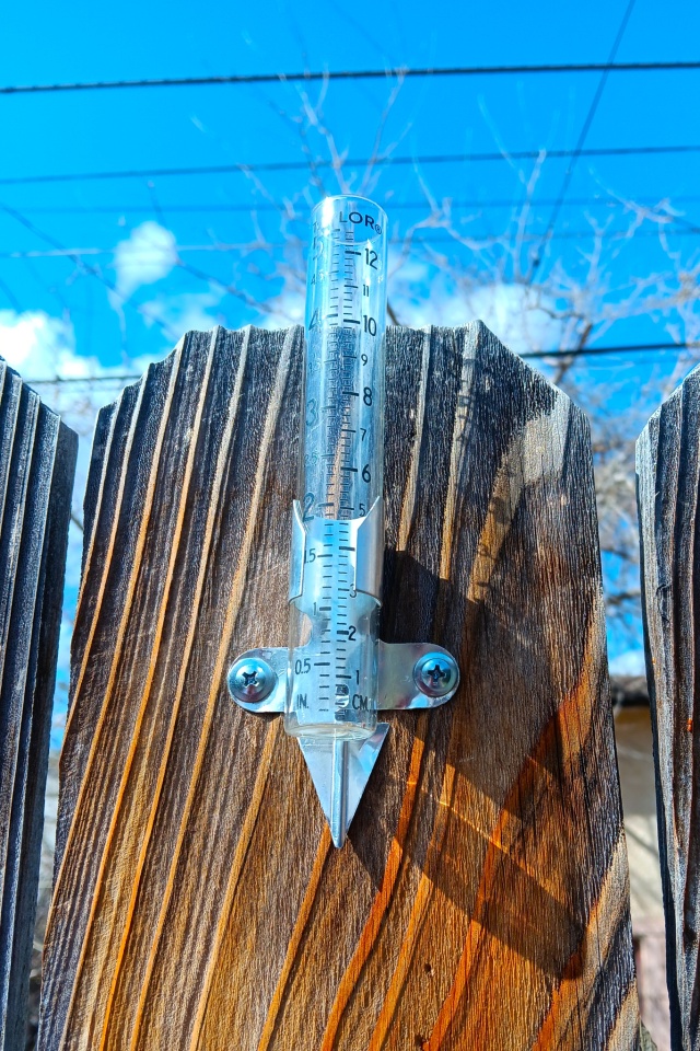 Ready for the rain | TiciaS | Blipfoto